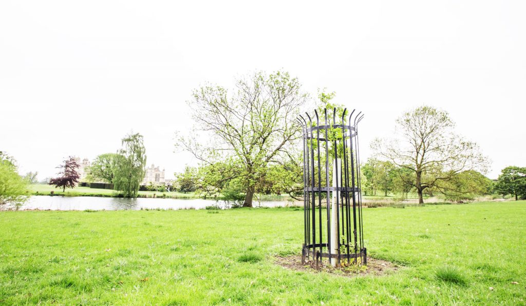 Protect Your Trees with Durable, Strong Tree Guards