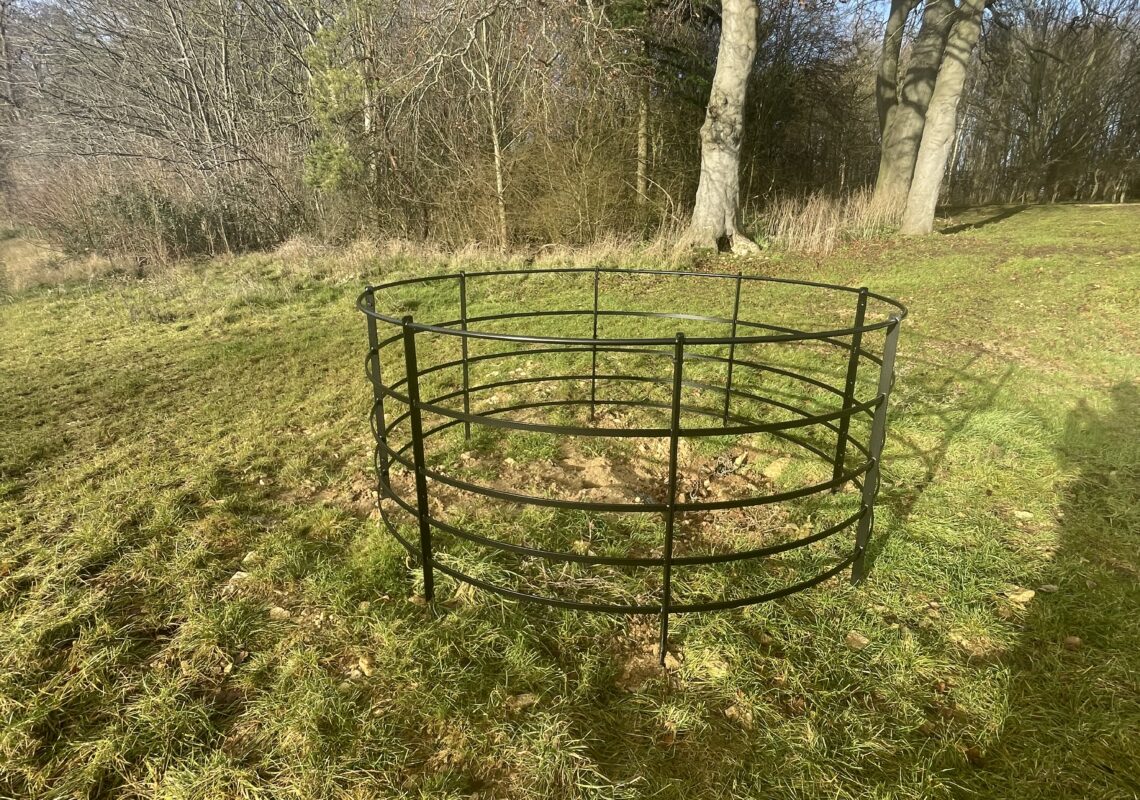 Protect Your Trees with Durable, Strong Tree Guards