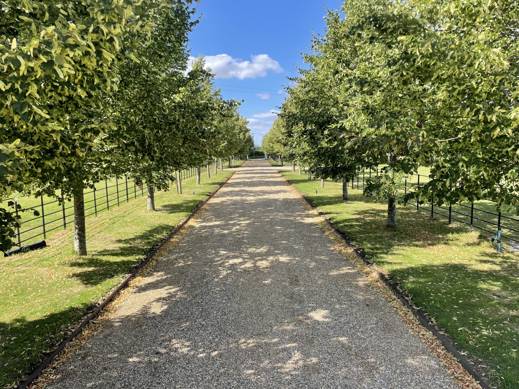 Paddock Fencing British made Estate Fencing & Tree Guards